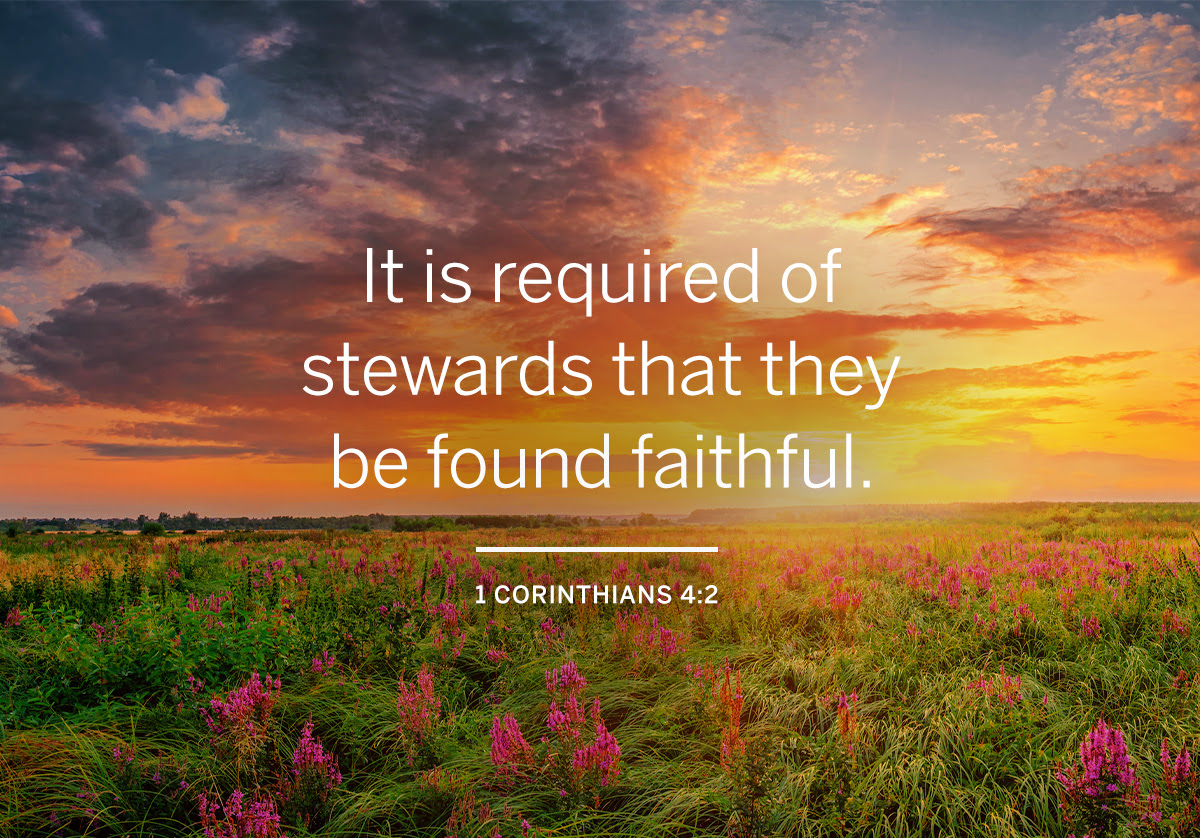 Steward + God Focused Choices = Found Faith – Larry Buck's Blog: